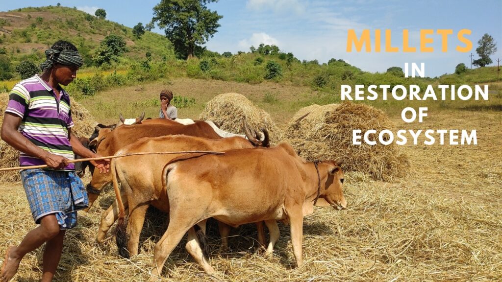 Role of Miracle Millets in Restoration of Ecosystem on World ...