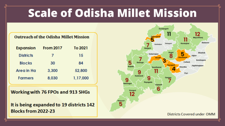 Odisha Millet Mission: Best model setting example at the National Level ...