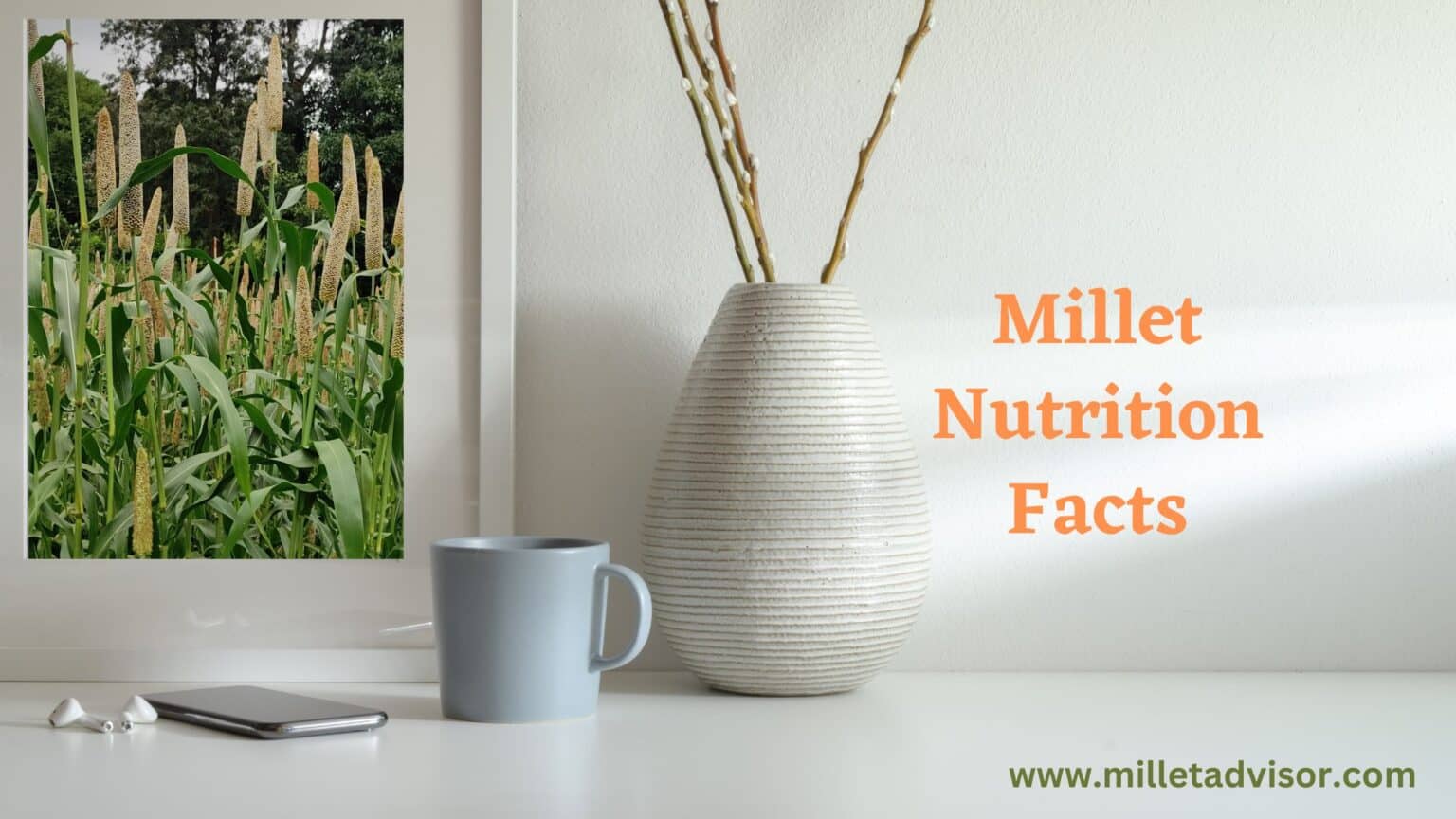 If you Read One Millet Nutrition Facts in 2023: This is the Best One ...