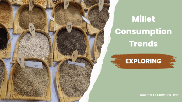 Exploring the Top Millet Consumption Trends in Current and Future ...