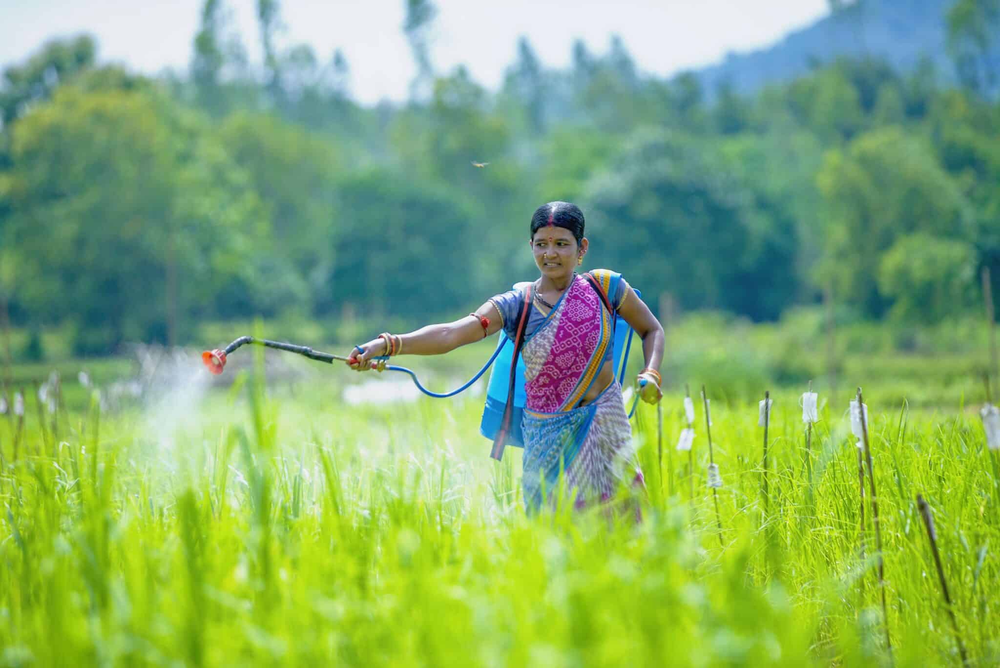Millets and Women: The Two Sides of a Coin symbolising Empowerment ...