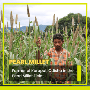 Types of Millets: A Comprehensive Guide to the 9 Different Varieties of ...