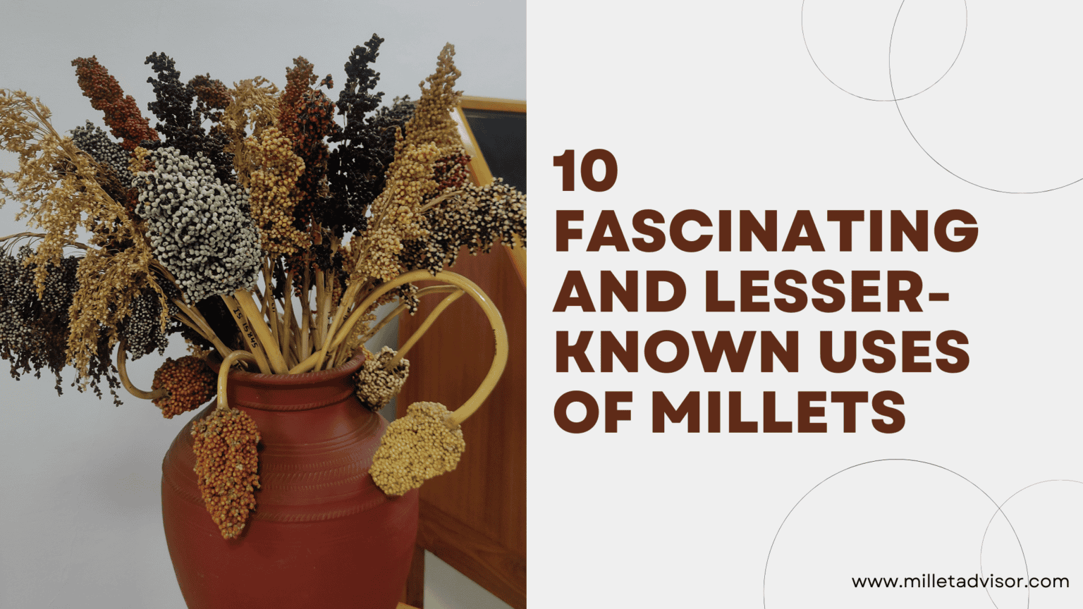 10 Fascinating and Lesser-known Uses of Millets that you might not be ...