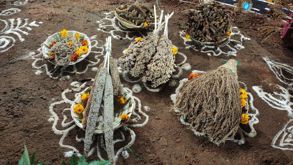 Shree Anna Abhiyan Model at PARAB-2025, Koraput - Showcasing the Journey from Farm to Plate ...